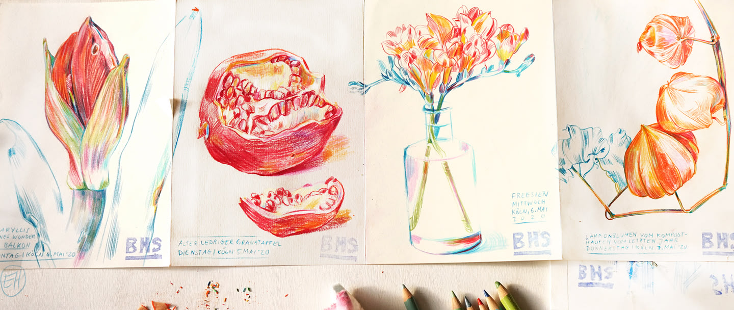 Blumen malen: Für Einsteiger